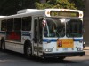 New York City Transit New Flyer D60HF Buses | Oren's Transit Page